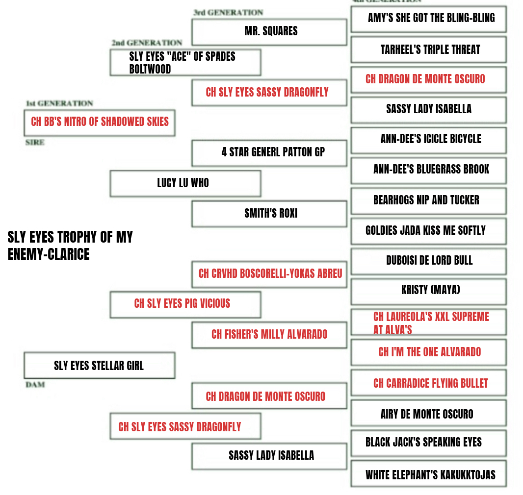 CURRENT LITTER | www.okbullterriers.com